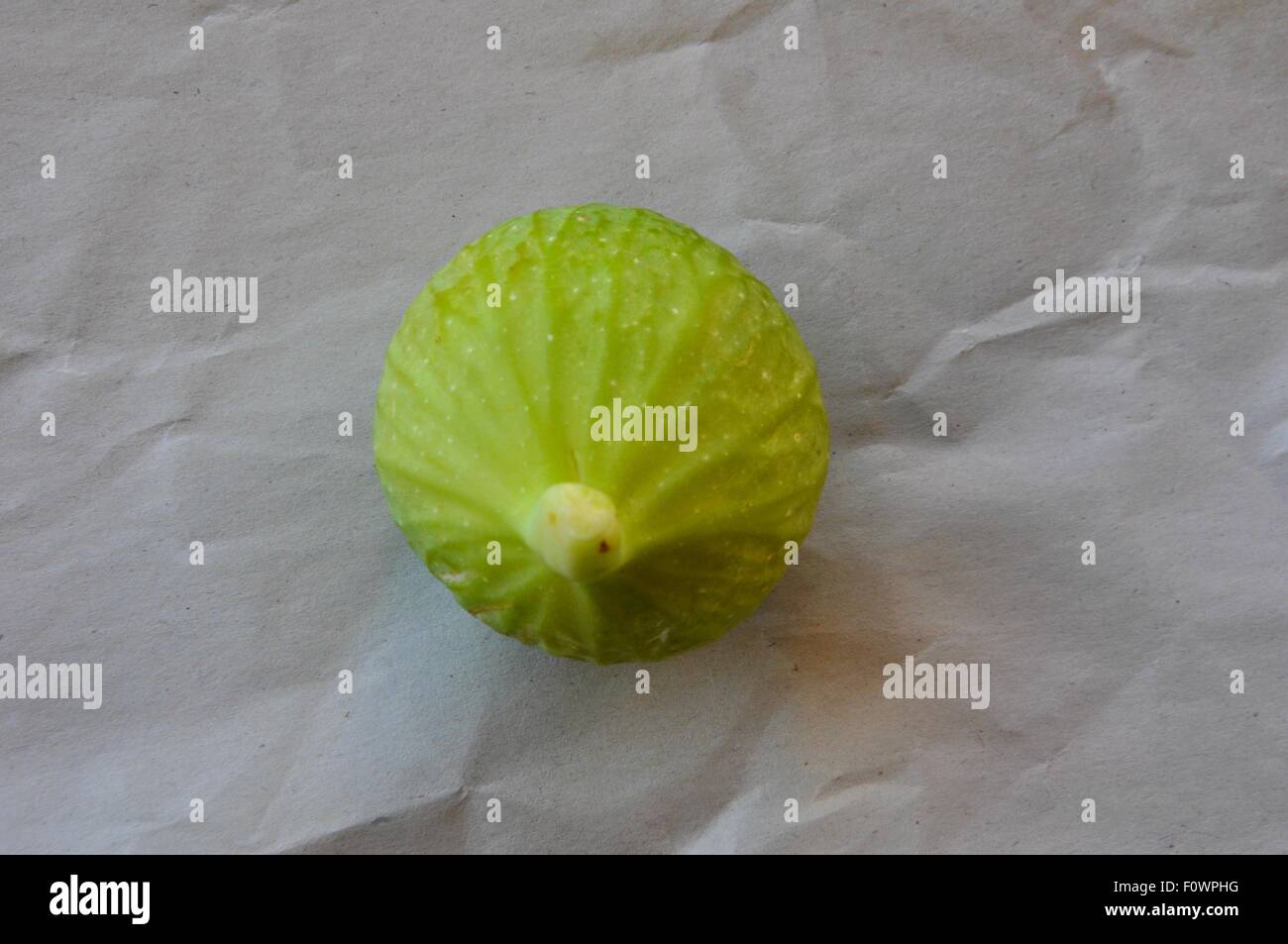 Fig skin hi-res stock photography and images - Alamy