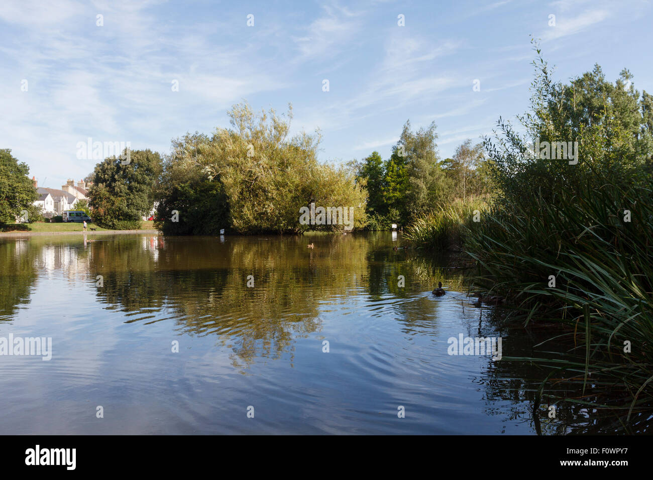 Hailsham, UK. 22nd August, 2015. UK weather. Residents overlooking ...