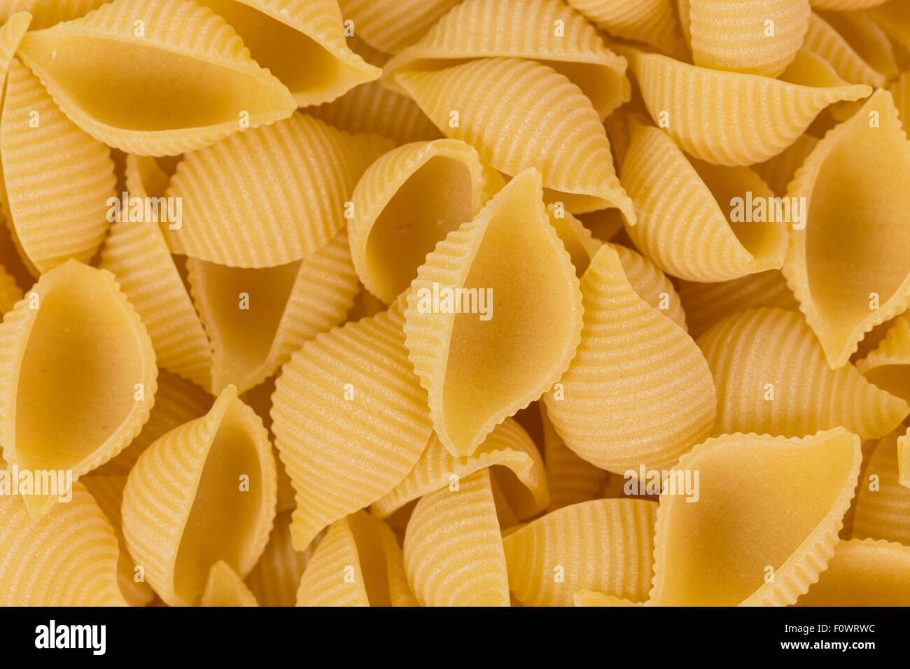 conchiglie rigate pasta pieces as a background Stock Photo - Alamy