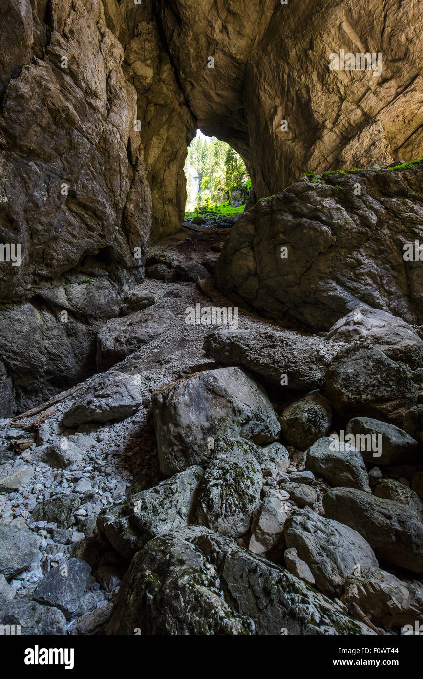 Cetatile Ponorului cave entrance in Apuseni national reserve, Romania ...
