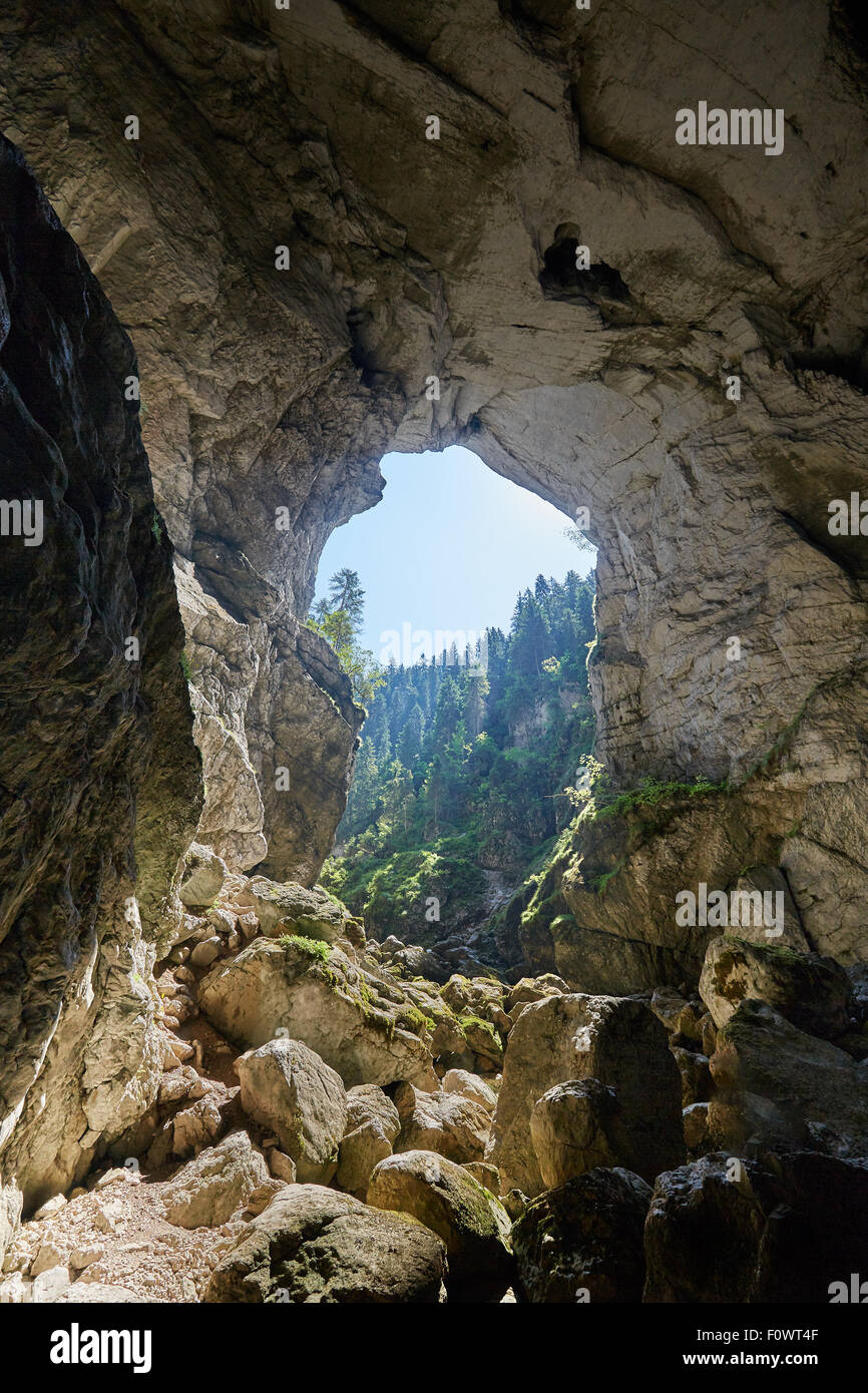 Cetatile Ponorului cave entrance in Apuseni national reserve, Romania ...