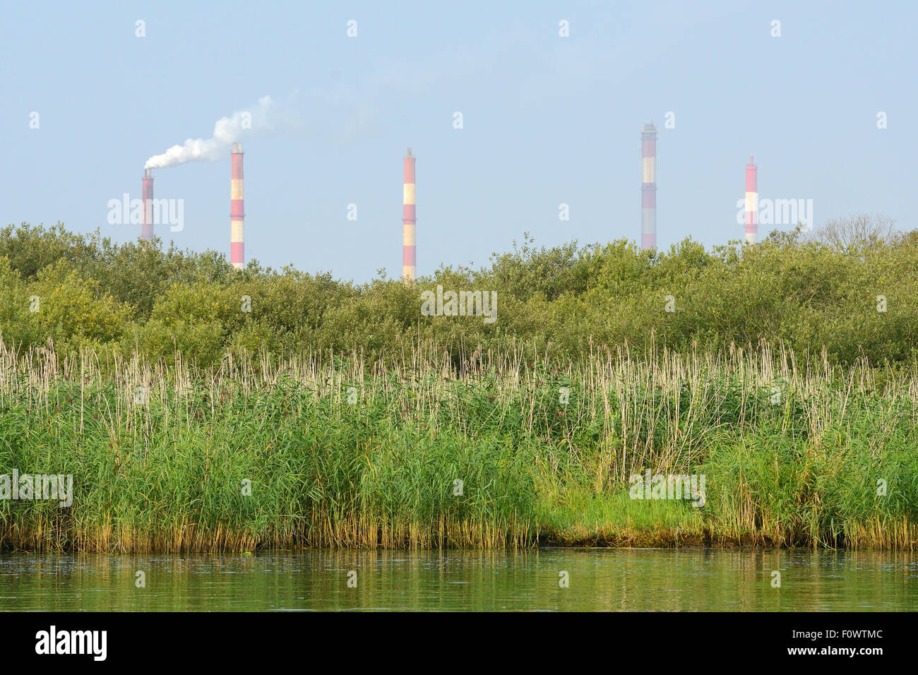 Oder delta rewilding area with factory chimneys in background ...