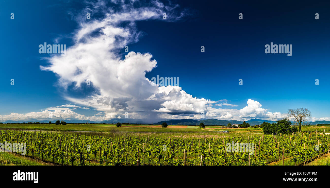 Collio region hi-res stock photography and images - Alamy