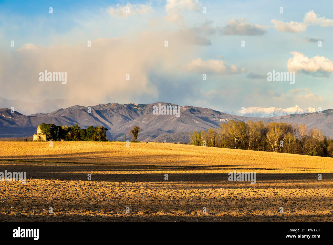 an abandoned and ruined farm in the fields of Italy Stock Photo - Alamy