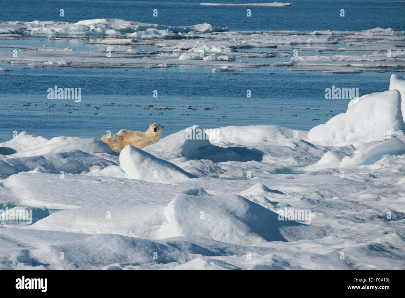 Norway, Barents Sea, Svalbard, Sjuoyane, Seven Islands. Northeast ...