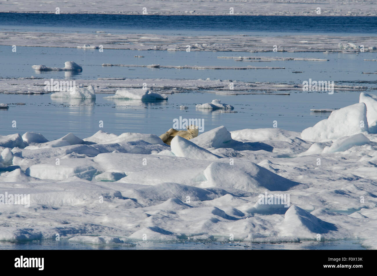 Norway, Barents Sea, Svalbard, Sjuoyane, Seven Islands. Northeast ...