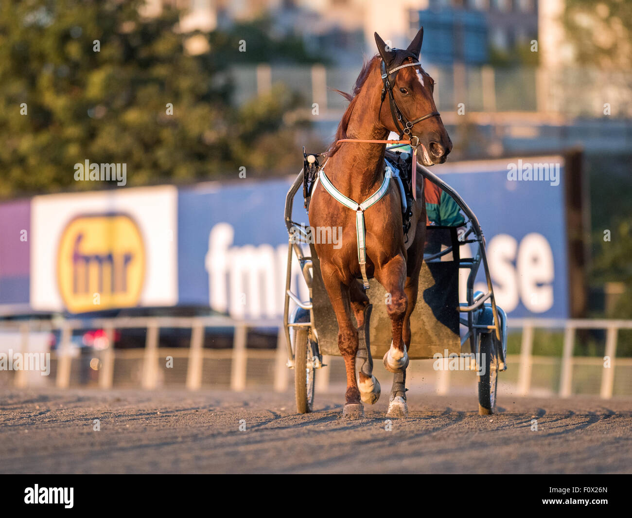 Nimbus cd cd hi-res stock photography and images - Alamy