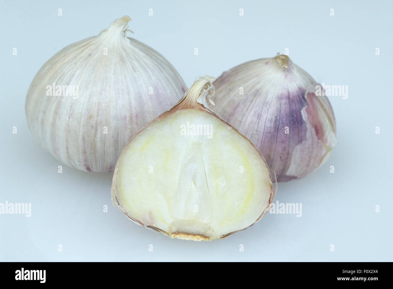 Solo Knoblauch Samen