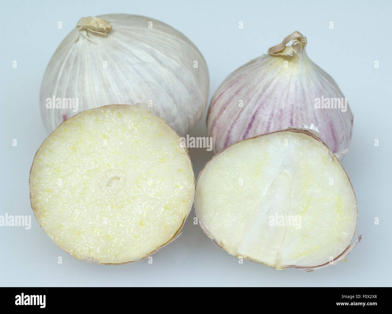 Solo knoblauch hi-res stock photography and images - Alamy