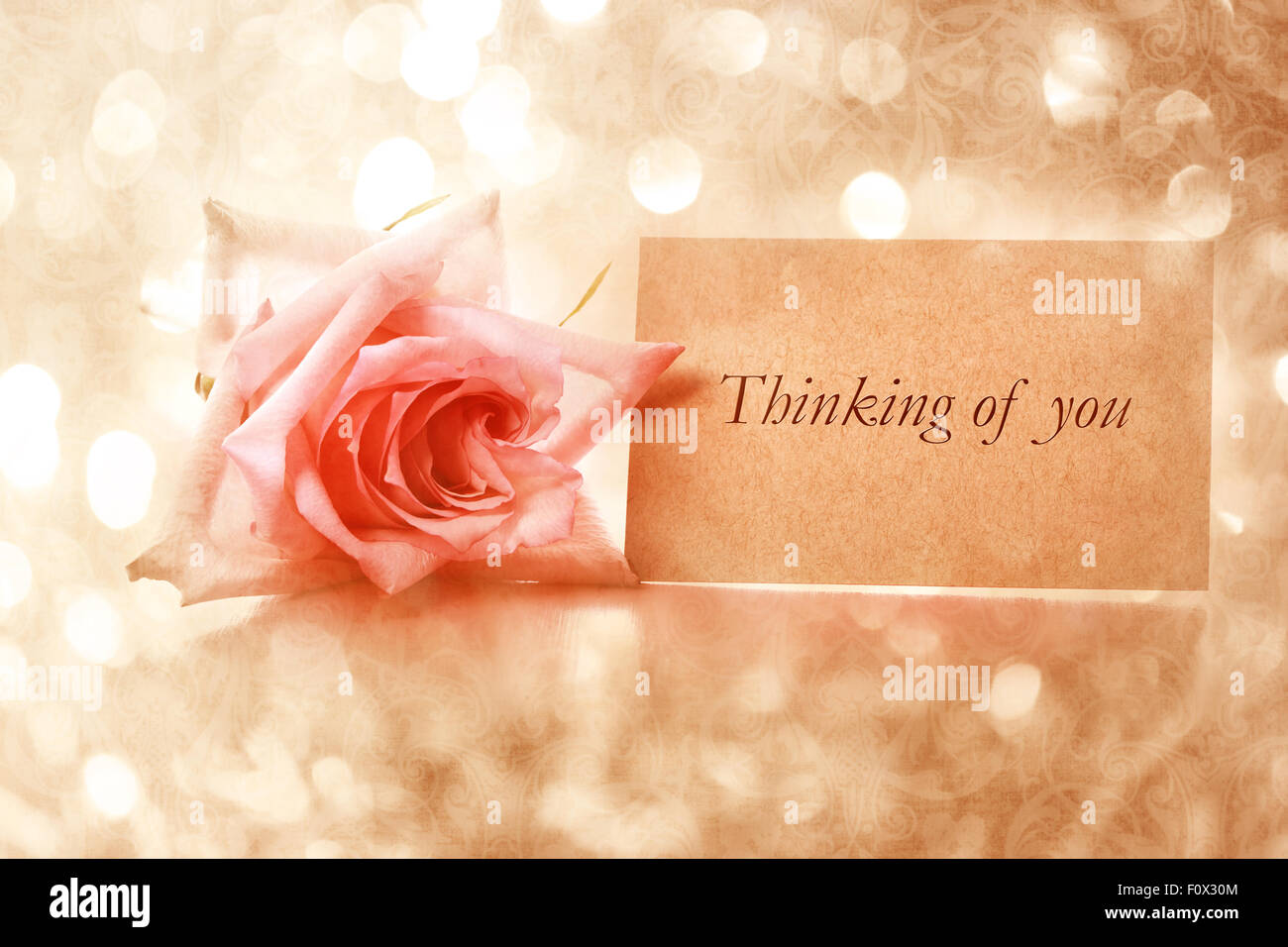 Thinking of you message with vintage pink rose Stock Photo - Alamy