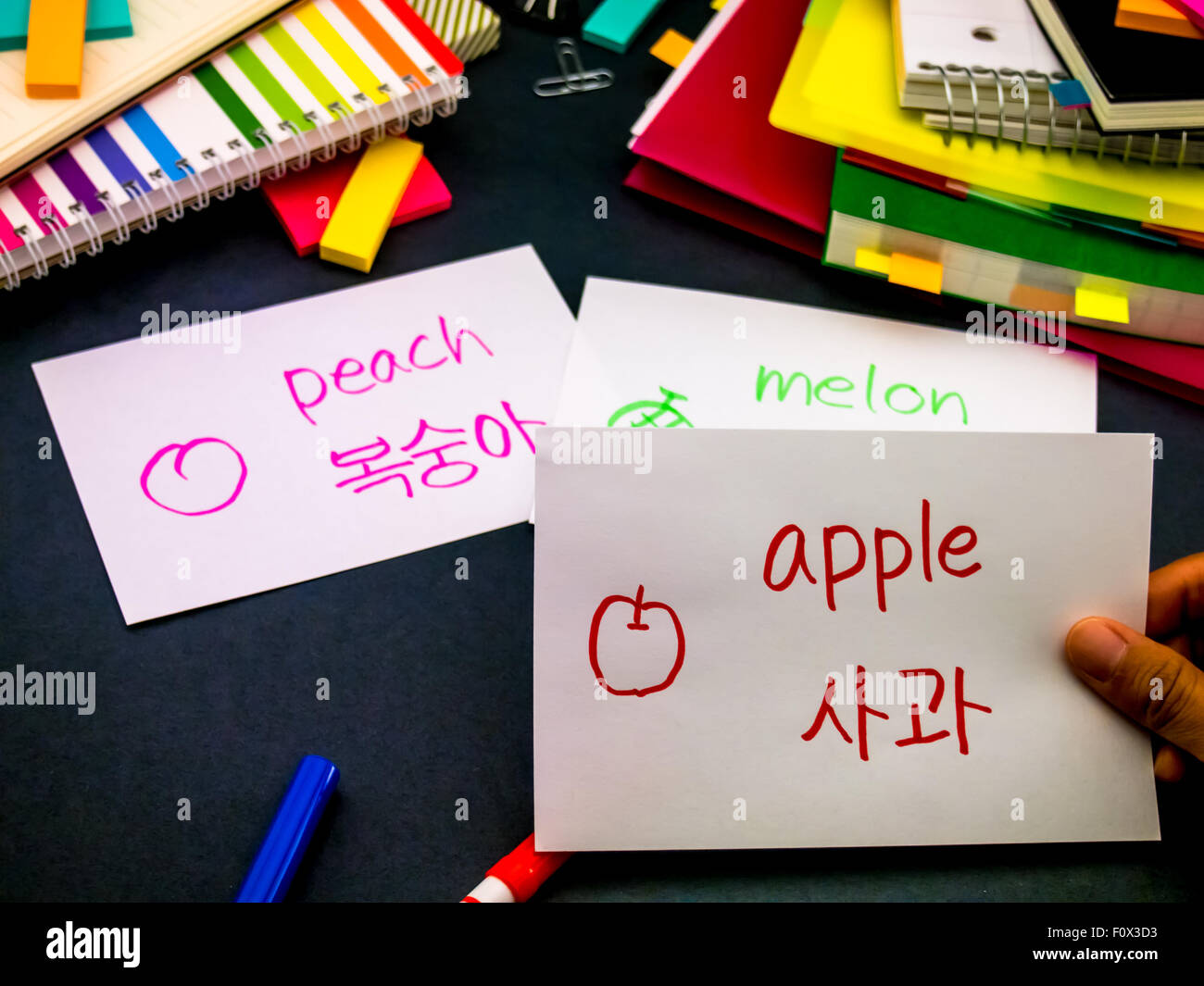 Learning New Language Making Original Flash Cards; Korean Stock Photo ...