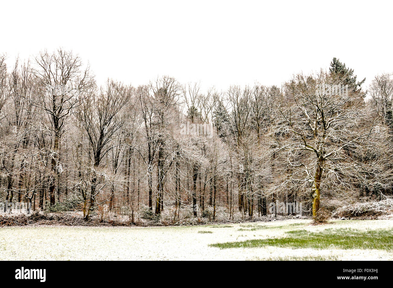 Winter is coming Stock Photo - Alamy
