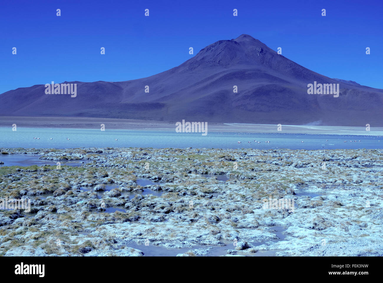 The Altiplano, a high altitude desert landscape with Laguna Verde in ...