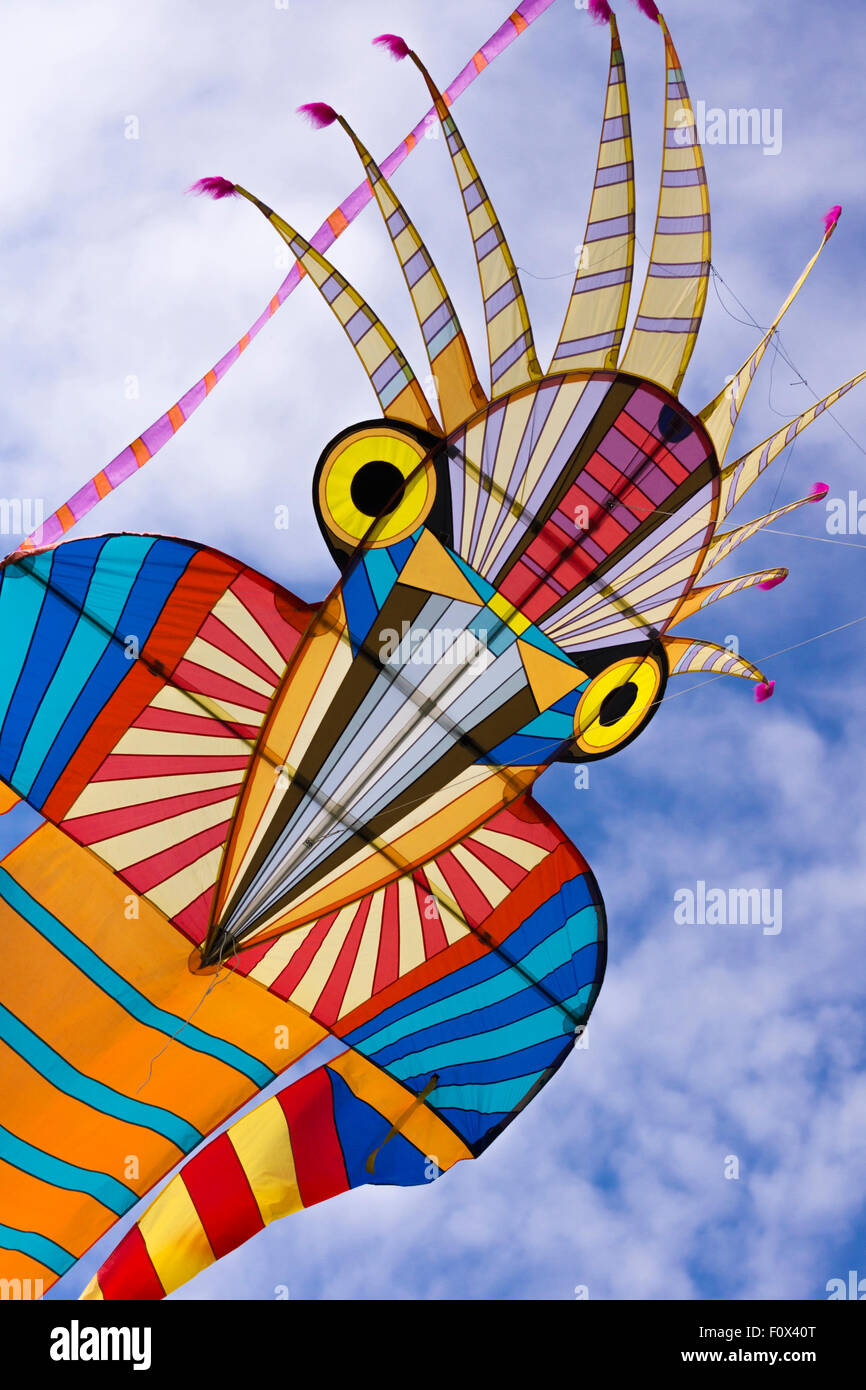 Bristol displays hi-res stock photography and images - Alamy