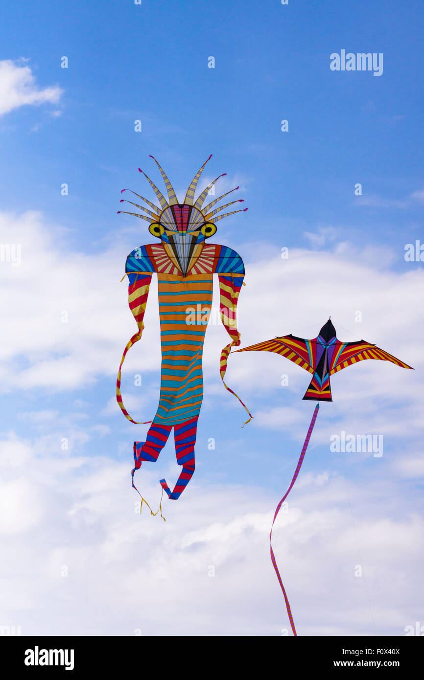 Kite displays hi-res stock photography and images - Alamy