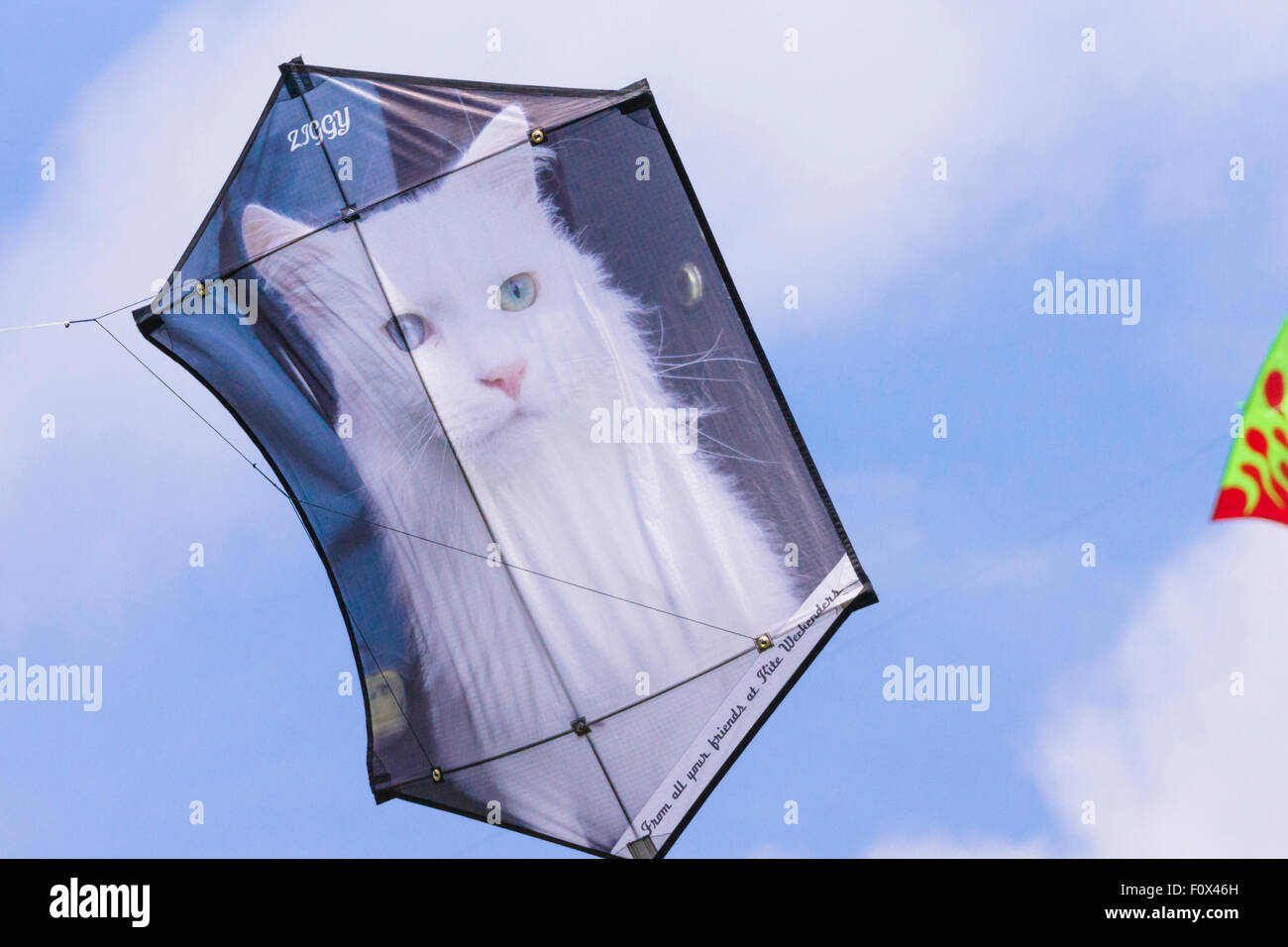 Kite displays hi-res stock photography and images - Alamy