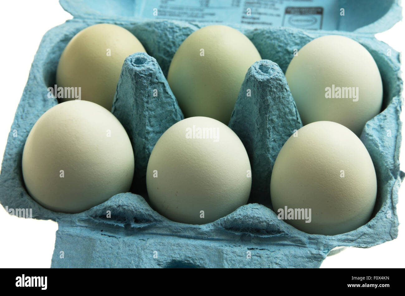 Blue hen hi-res stock photography and images - Alamy