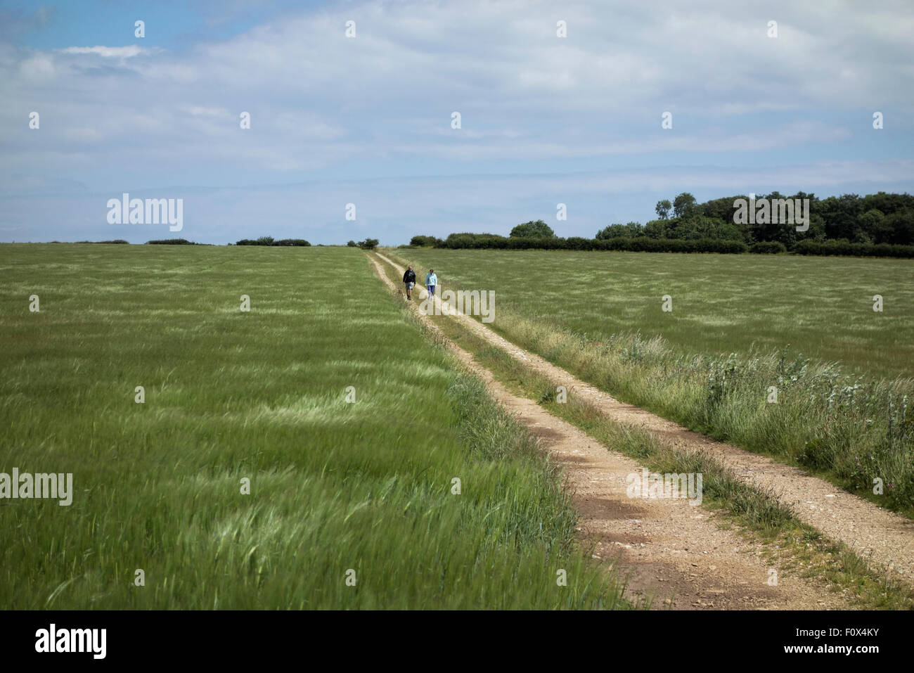 Track field people hi-res stock photography and images - Alamy