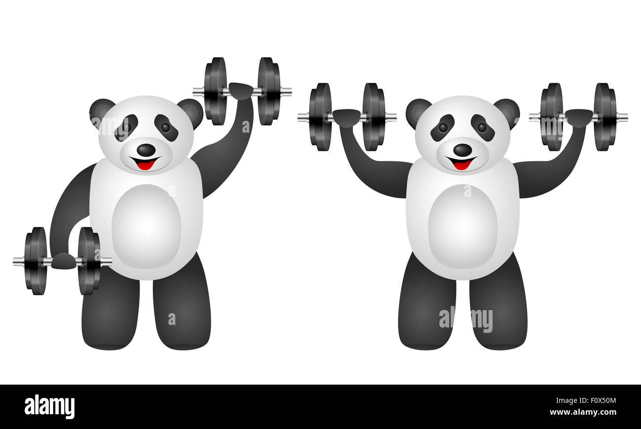 training panda set on a white background. Vector illustration Stock ...