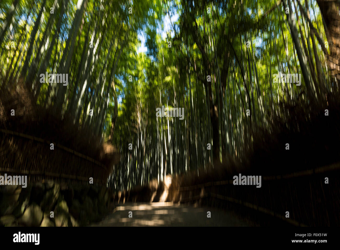 Arashiyama bamboo grove hi-res stock photography and images - Alamy