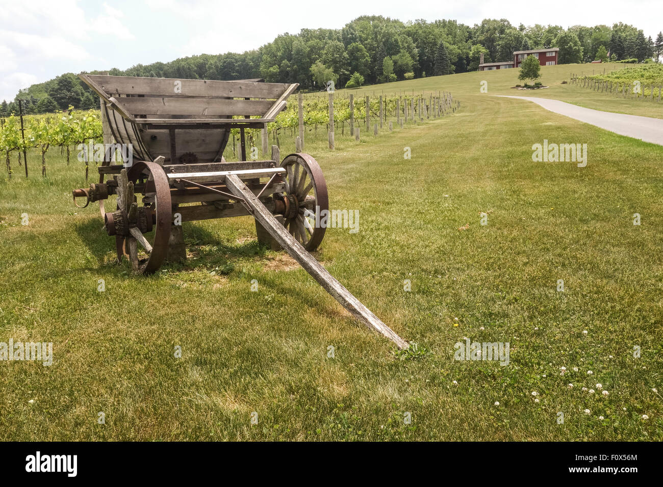 Horse Drawn Carriage cart with wine barrel, Clover Hill Vineyards ...