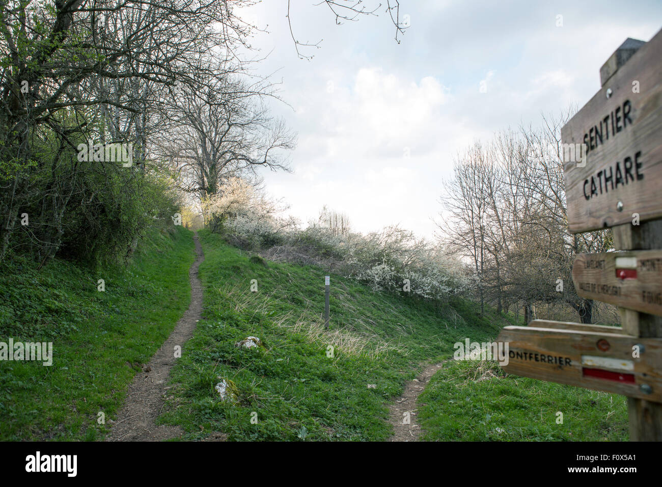 Mountains and forest with a trail in French Pyrenees Stock Photo - Alamy