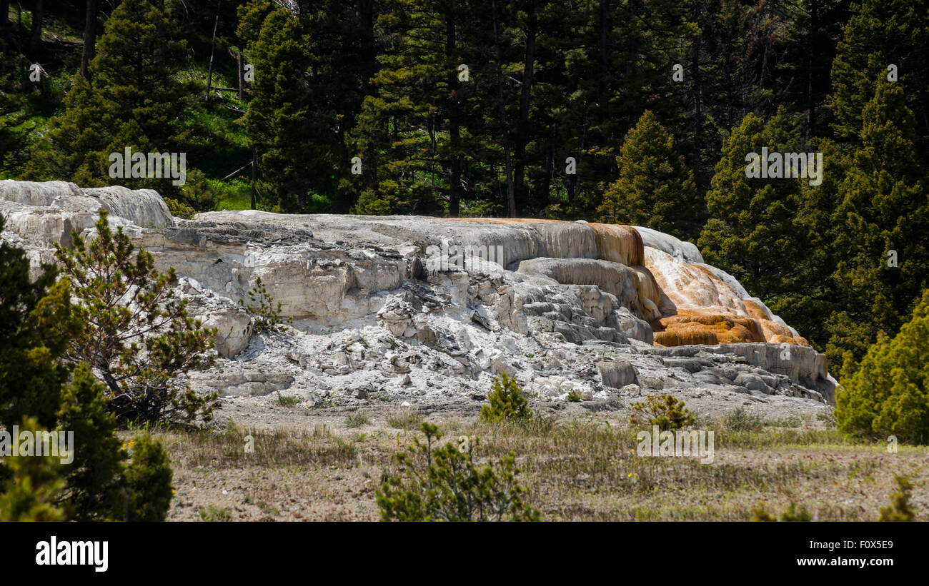Terraces of Palette Spring at Mammoth Hot Springs, Yellowstone National ...