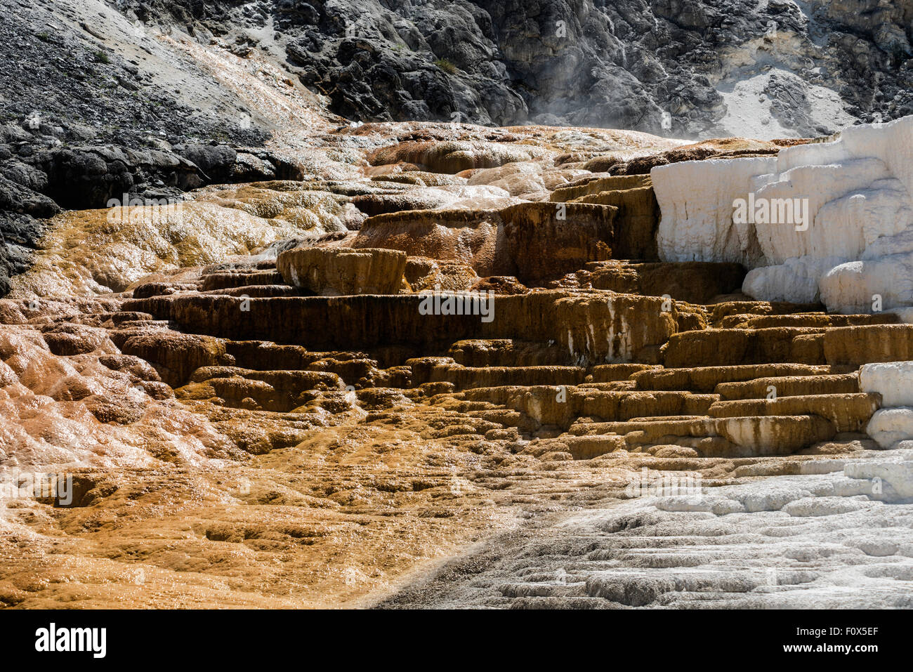 The Mammoth Hot Spring terrace, Yellowstone National Park , WyoYellowstone National Park ...