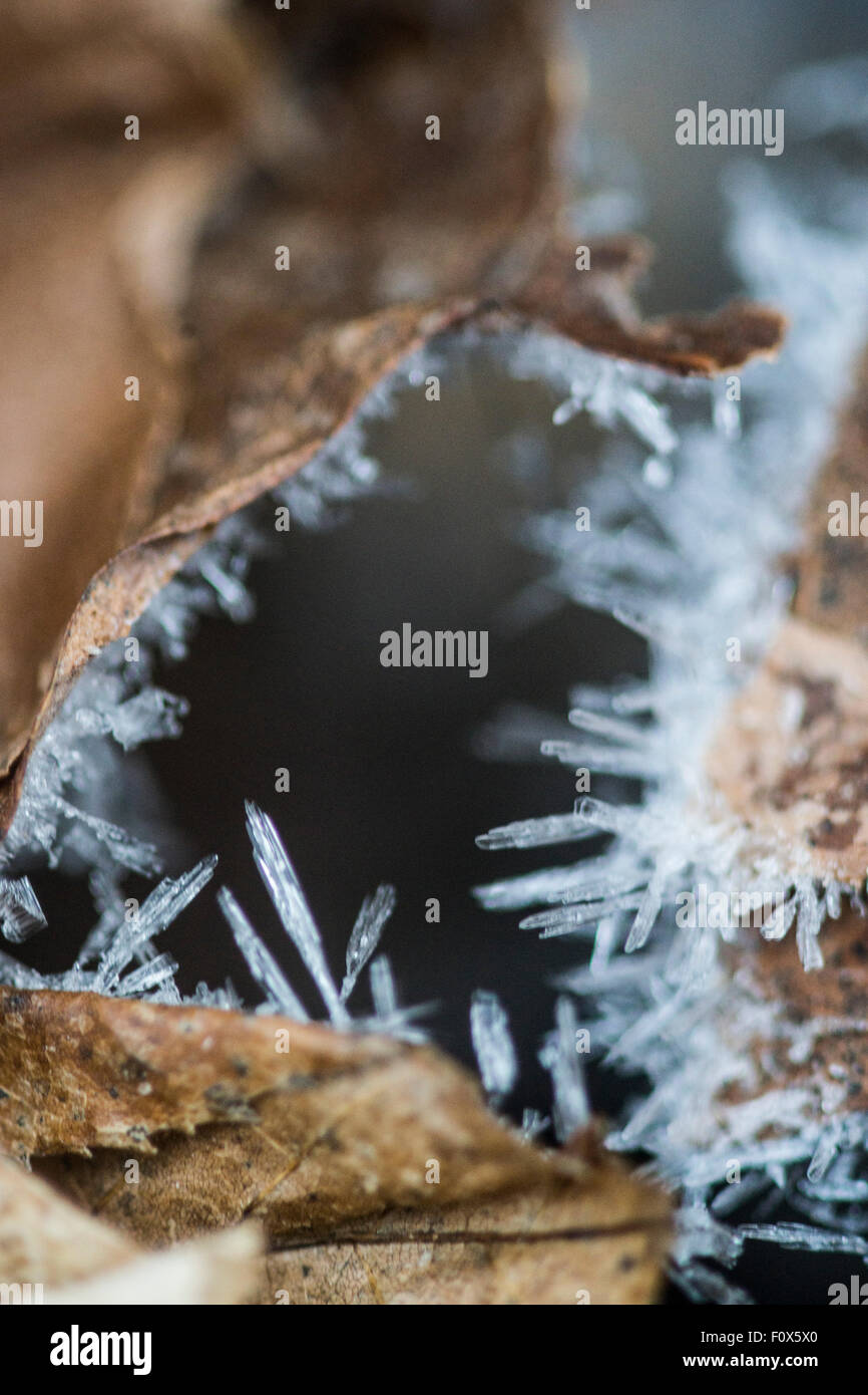 Crystallizing hi-res stock photography and images - Alamy
