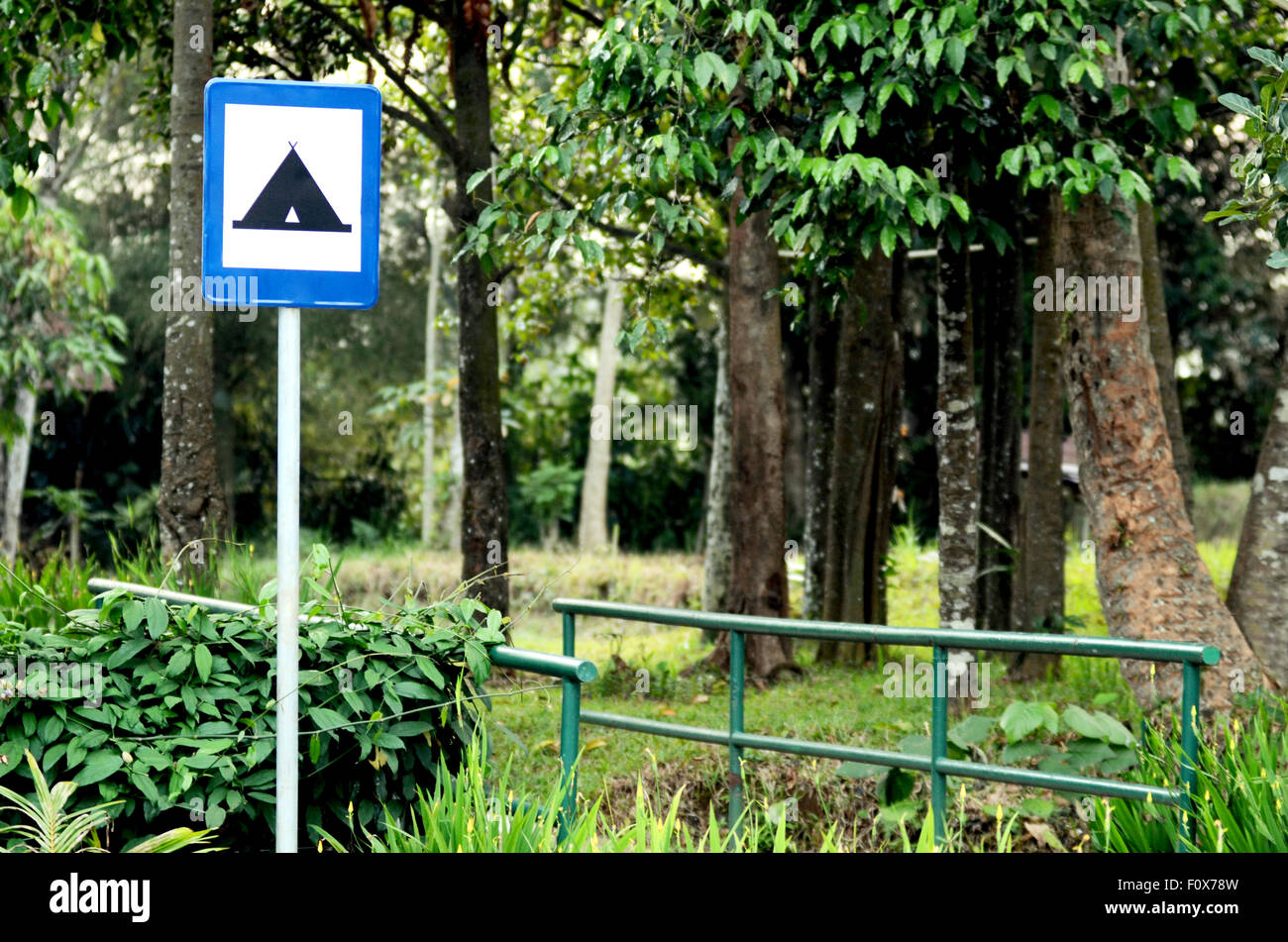 road sign camping ground, with tree an forest as a background Stock ...