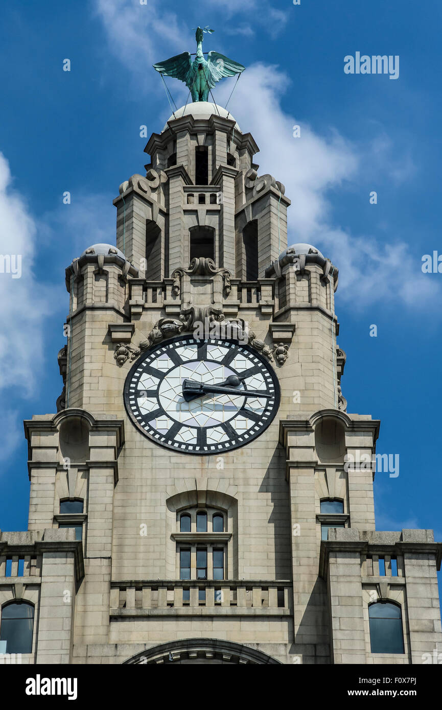 Liverpool, the Royal Liver Building Stock Photo - Alamy