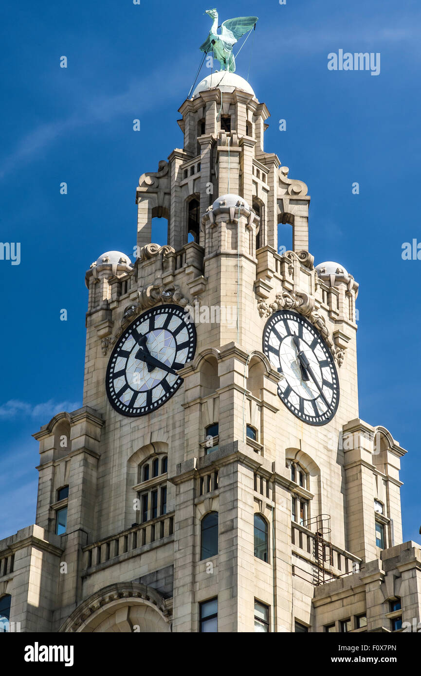 Liverpool, the Royal Liver Building Stock Photo - Alamy