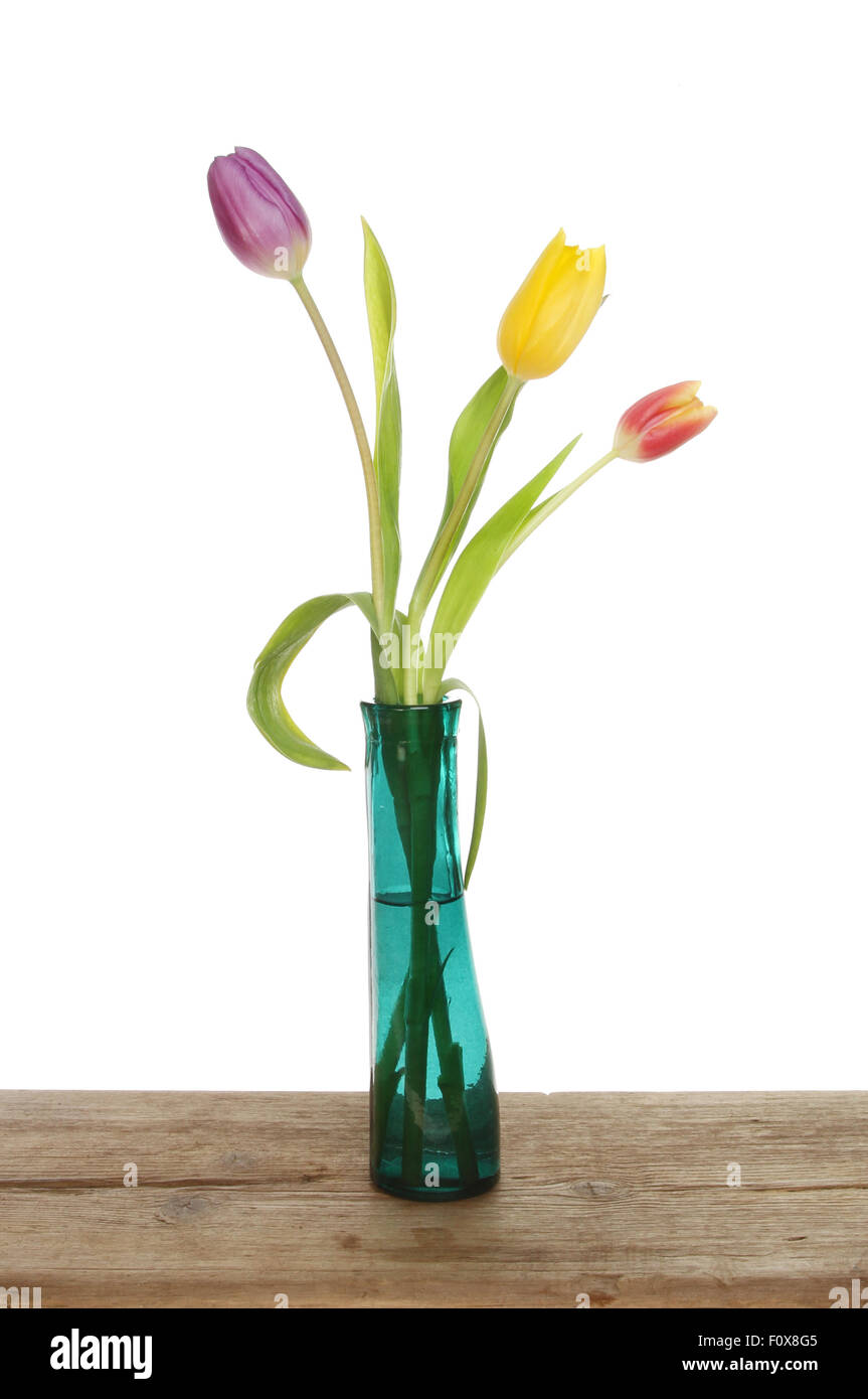 Three tulips hi-res stock photography and images - Alamy