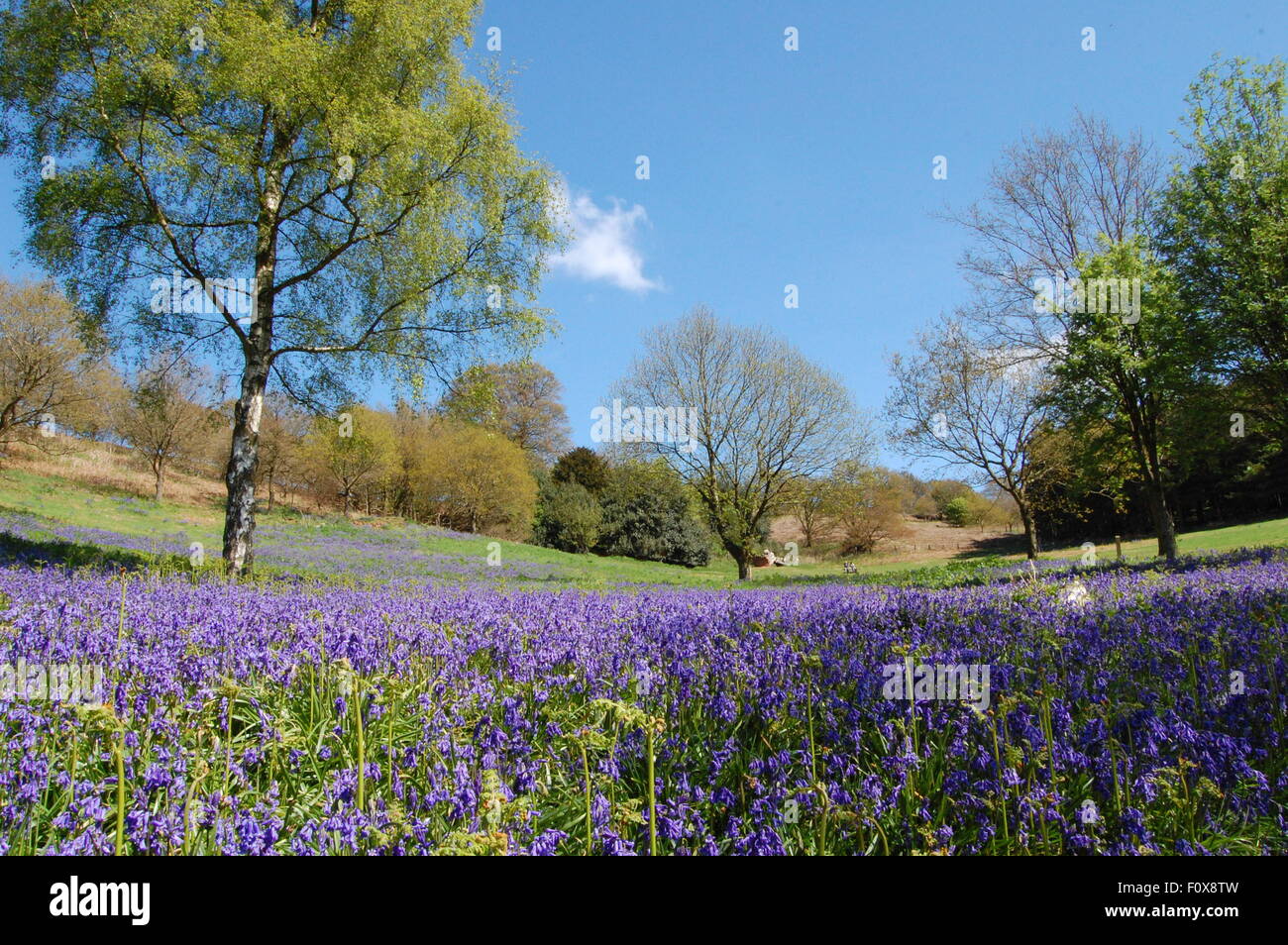 Clent hills worcestershire hi-res stock photography and images - Alamy