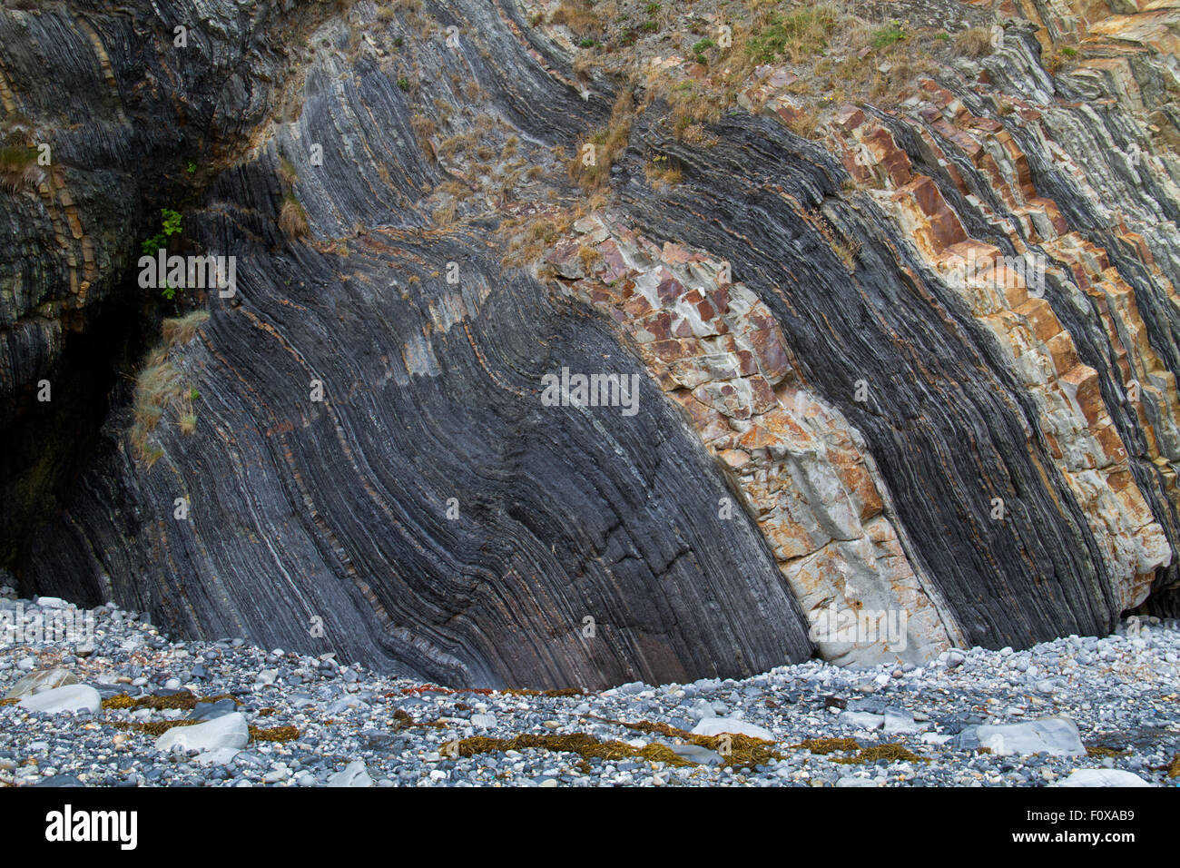 Layered and folded rock in a cliff on the coast of Brittany, France ...