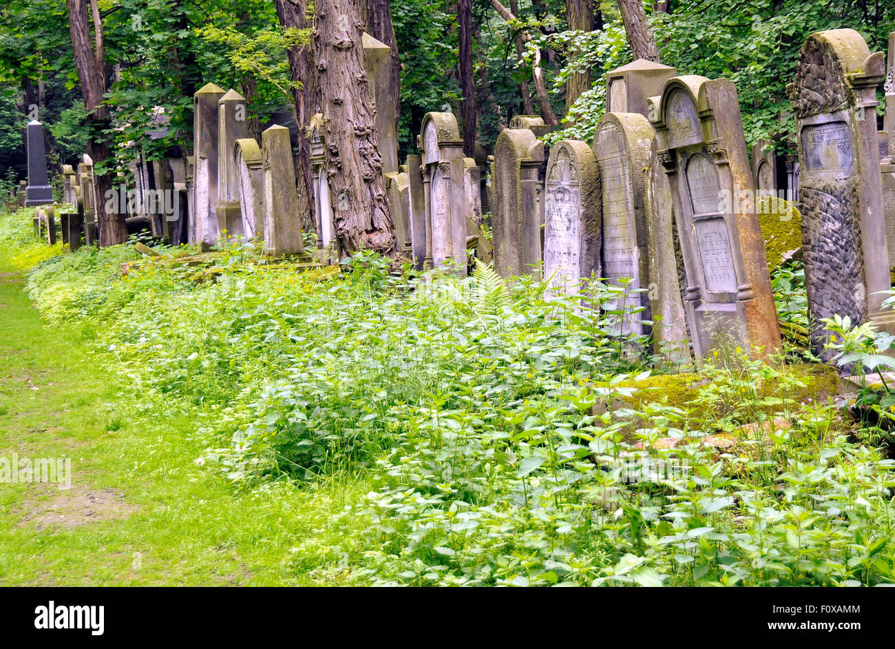 Old stone graves moss cemetery hi-res stock photography and images - Alamy