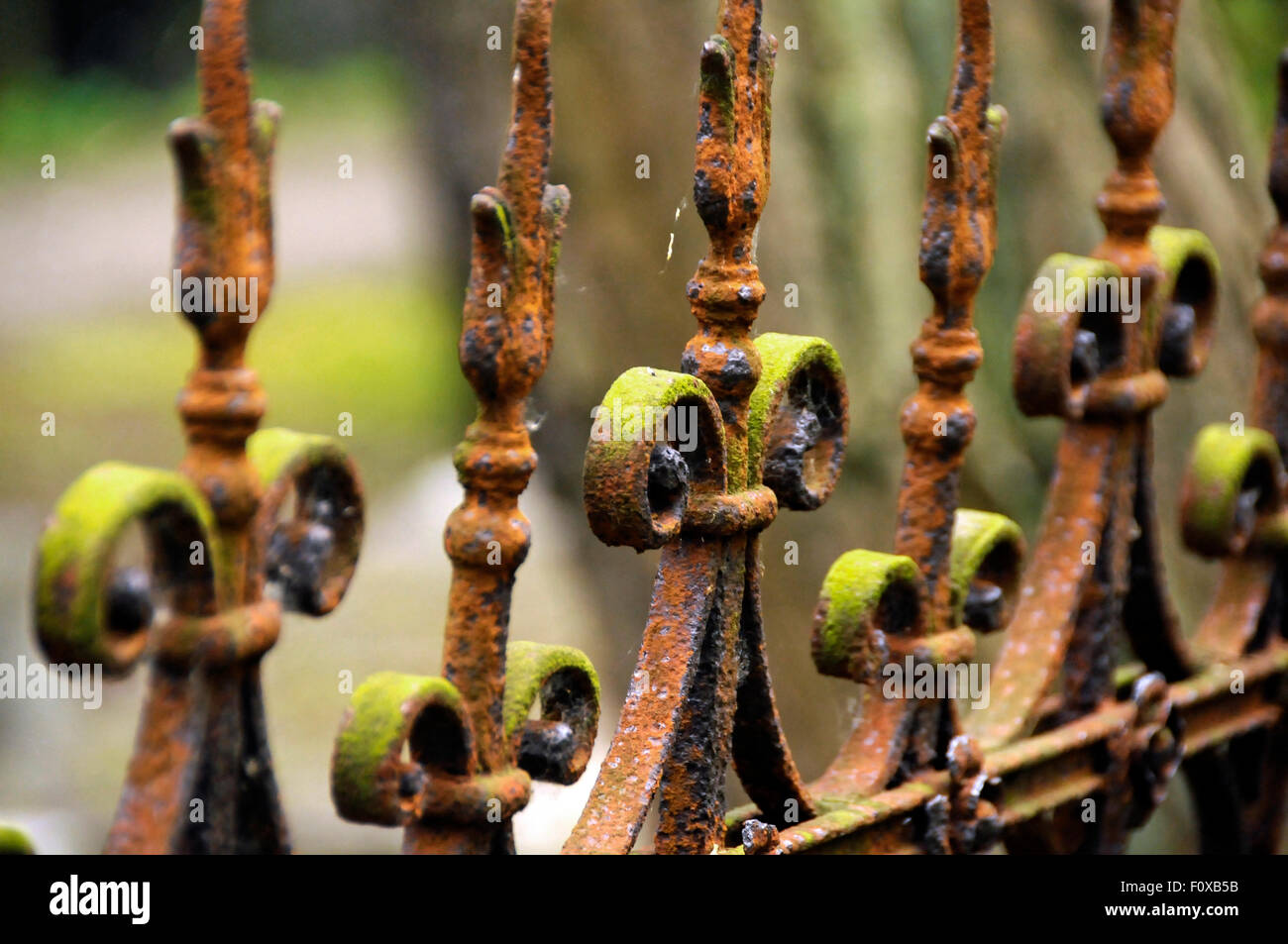 Old rusty fence at Jewish Cemetery in Warsaw, Poland Stock Photo - Alamy