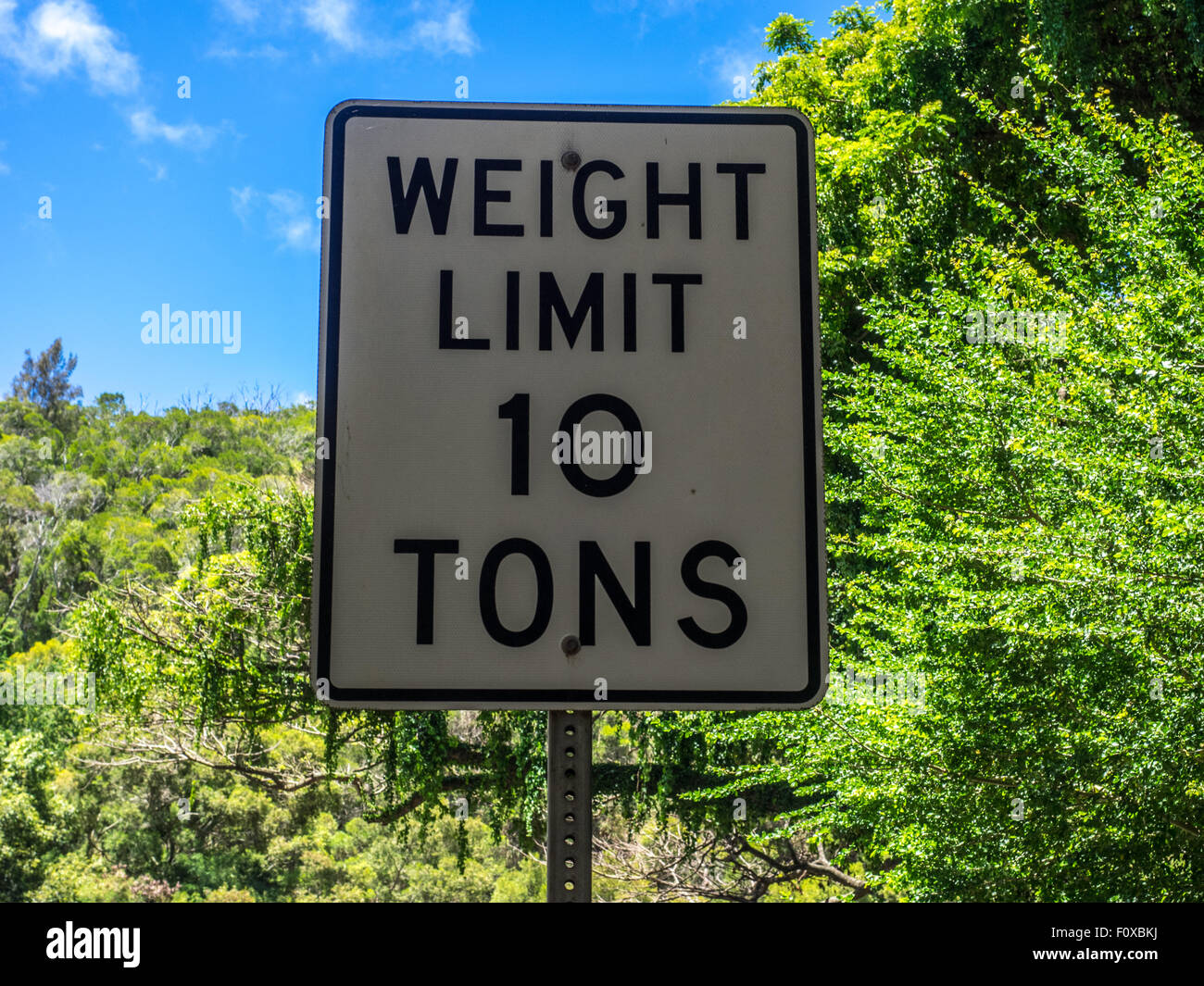 Weight Limit 10 Tons roads sign with green tropical foliage in the ...