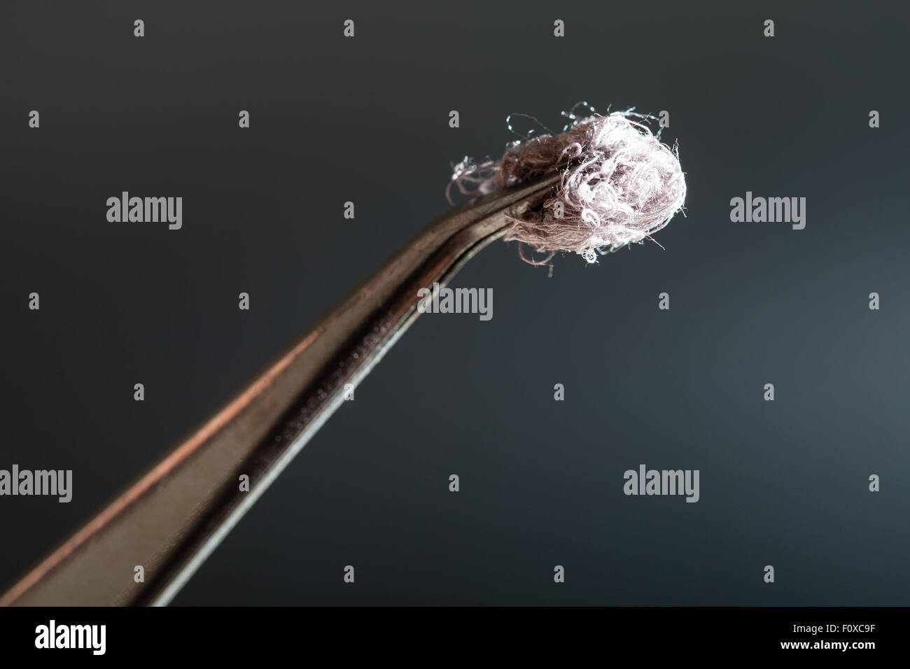 experiment to determine the composition of tissue - sample of cotton ...