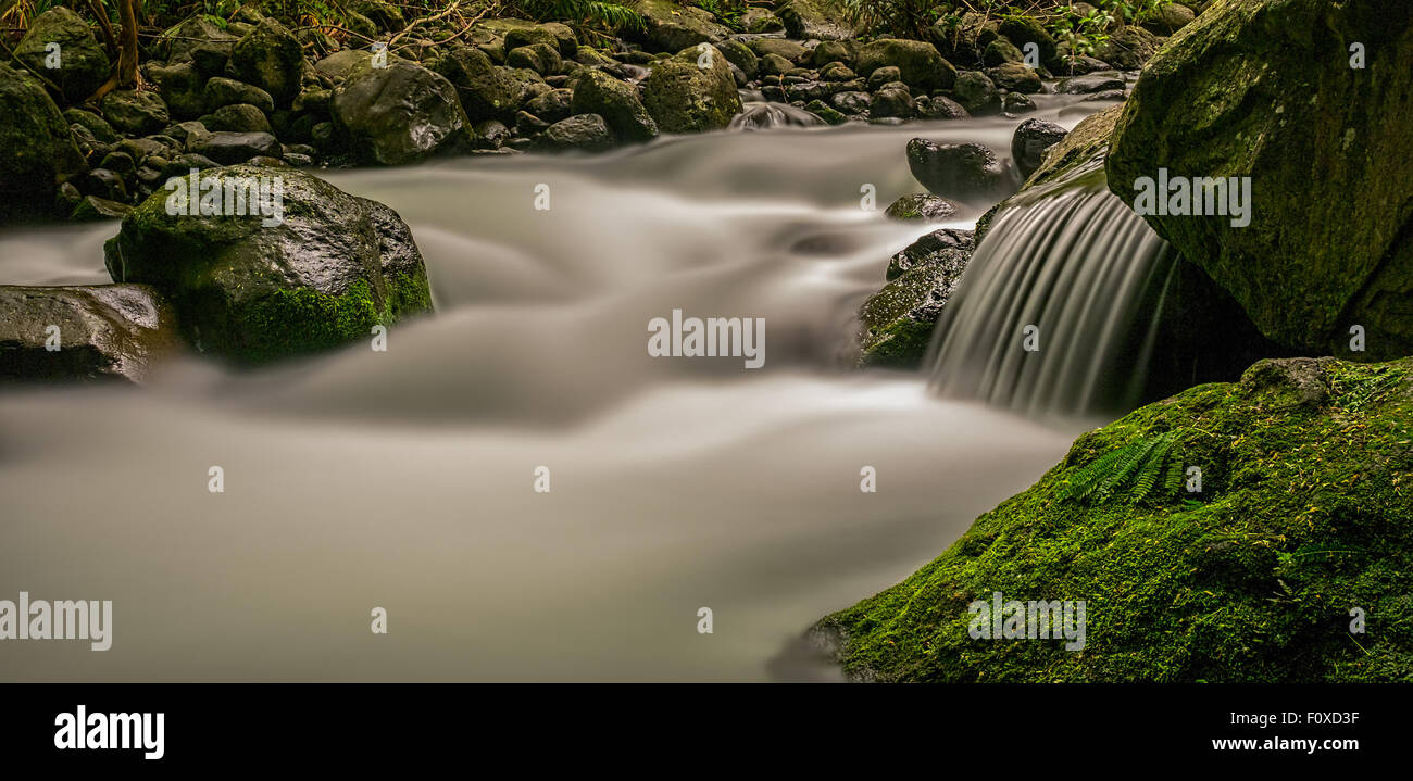 Iao Valley Stream at the Iao Valley State Park Maui Hawaii. Long ...