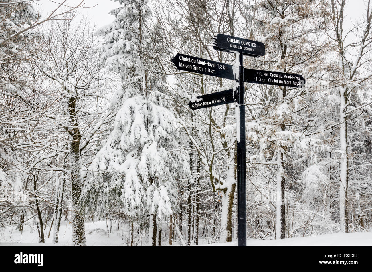 Montreal sign hi-res stock photography and images - Alamy