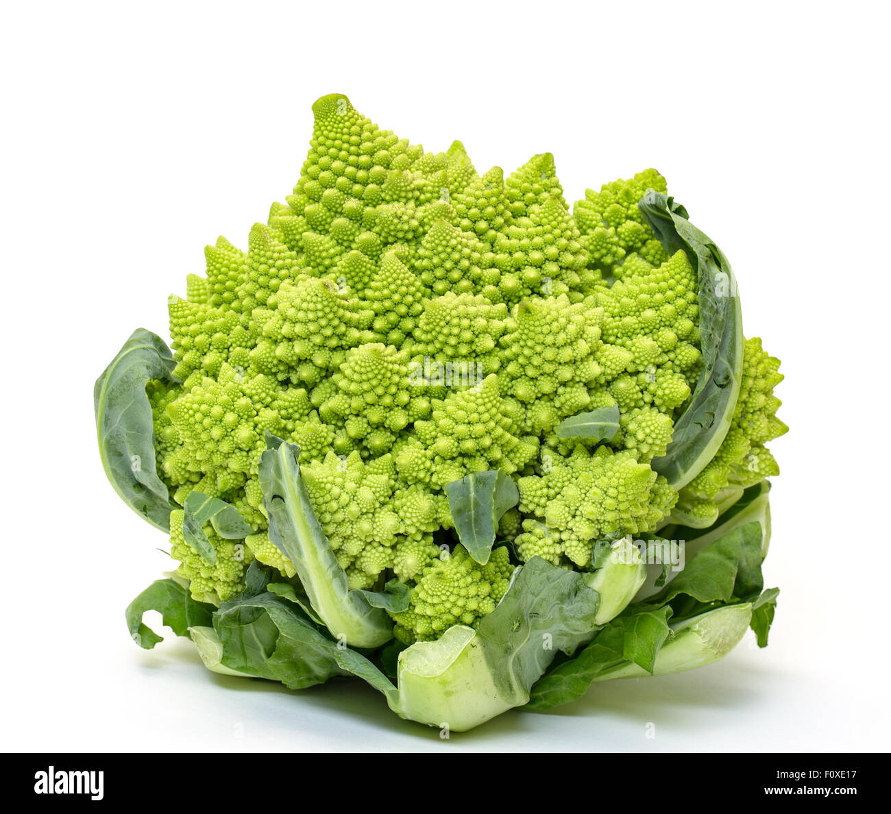 Green Fresh Romanesque Cauliflower, on white background Stock Photo - Alamy