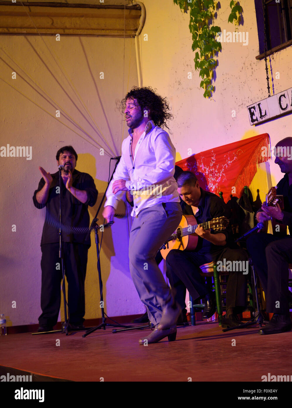 Hot male Flamenco dancer swinging tie on stage at night in an outdoor ...