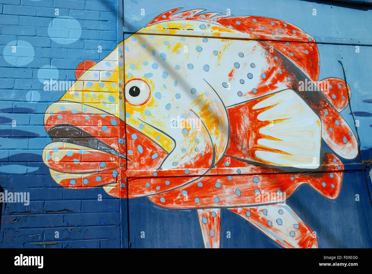 Abstract fish graffiti mural wall art hi-res stock photography and ...