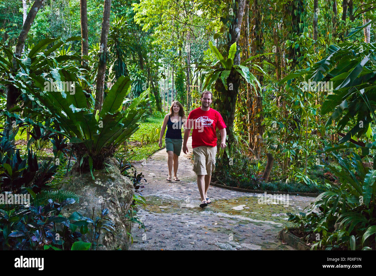 Jungle setting hi-res stock photography and images - Alamy
