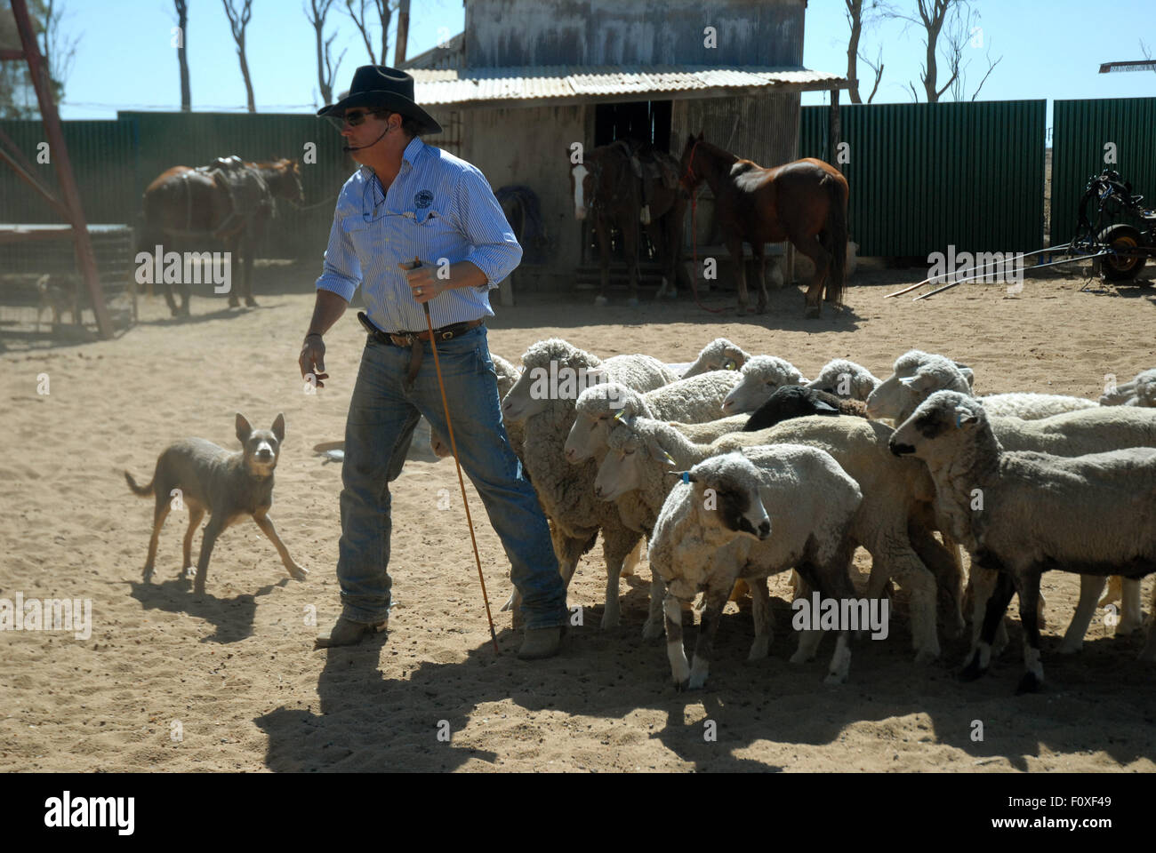 Longreach stockmen hi-res stock photography and images - Alamy