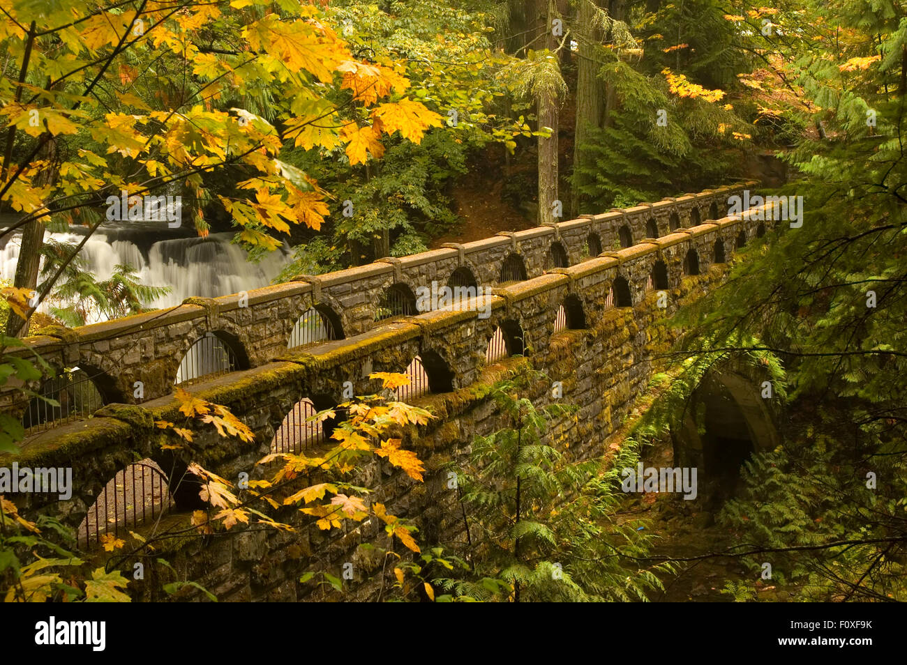Works Project Administration (WPA) hiker bridge, Whatcom Falls Park ...