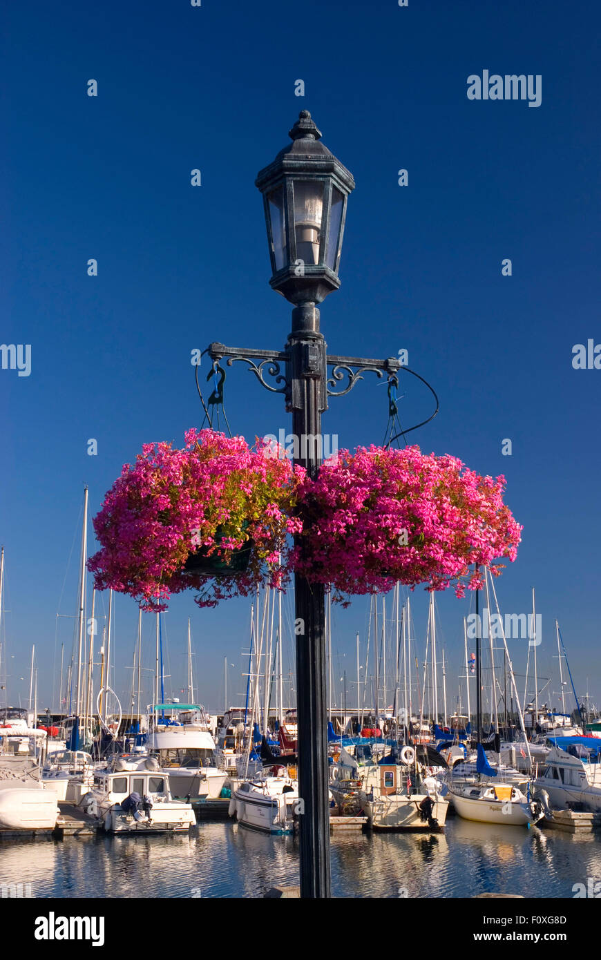 Pier lamppost, Blaine Marina, Blaine, Washington Stock Photo - Alamy