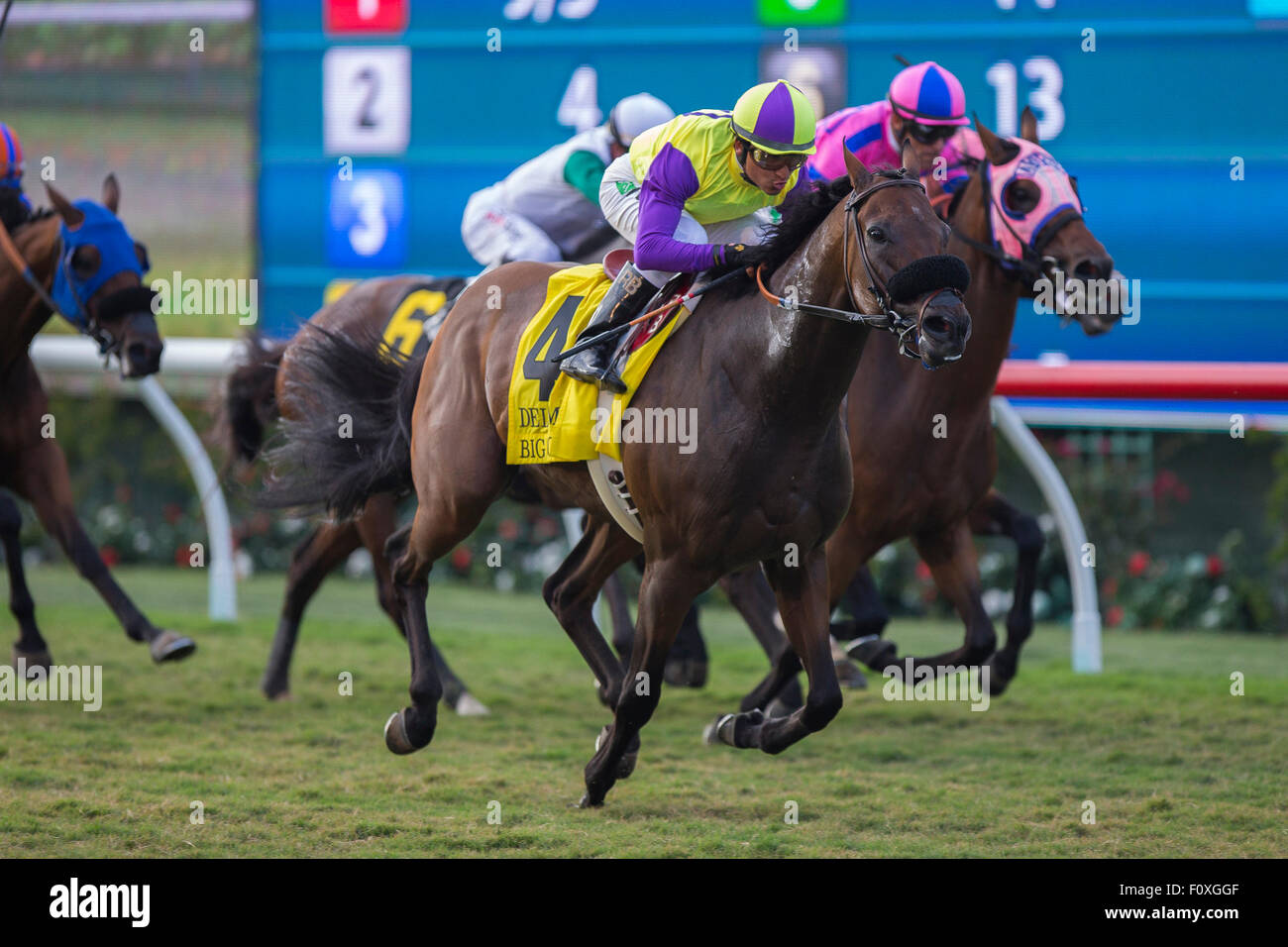 Usa. 22nd Aug, 2015. AUG 22, 2015: Big John B, ridden by Rafael ...