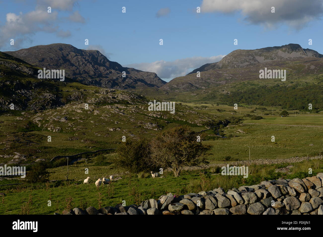 Rhinogydd hills hi-res stock photography and images - Alamy